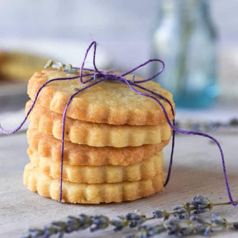 Blended Cottage Cheese Breakfast Bowls - Brunch & Batter